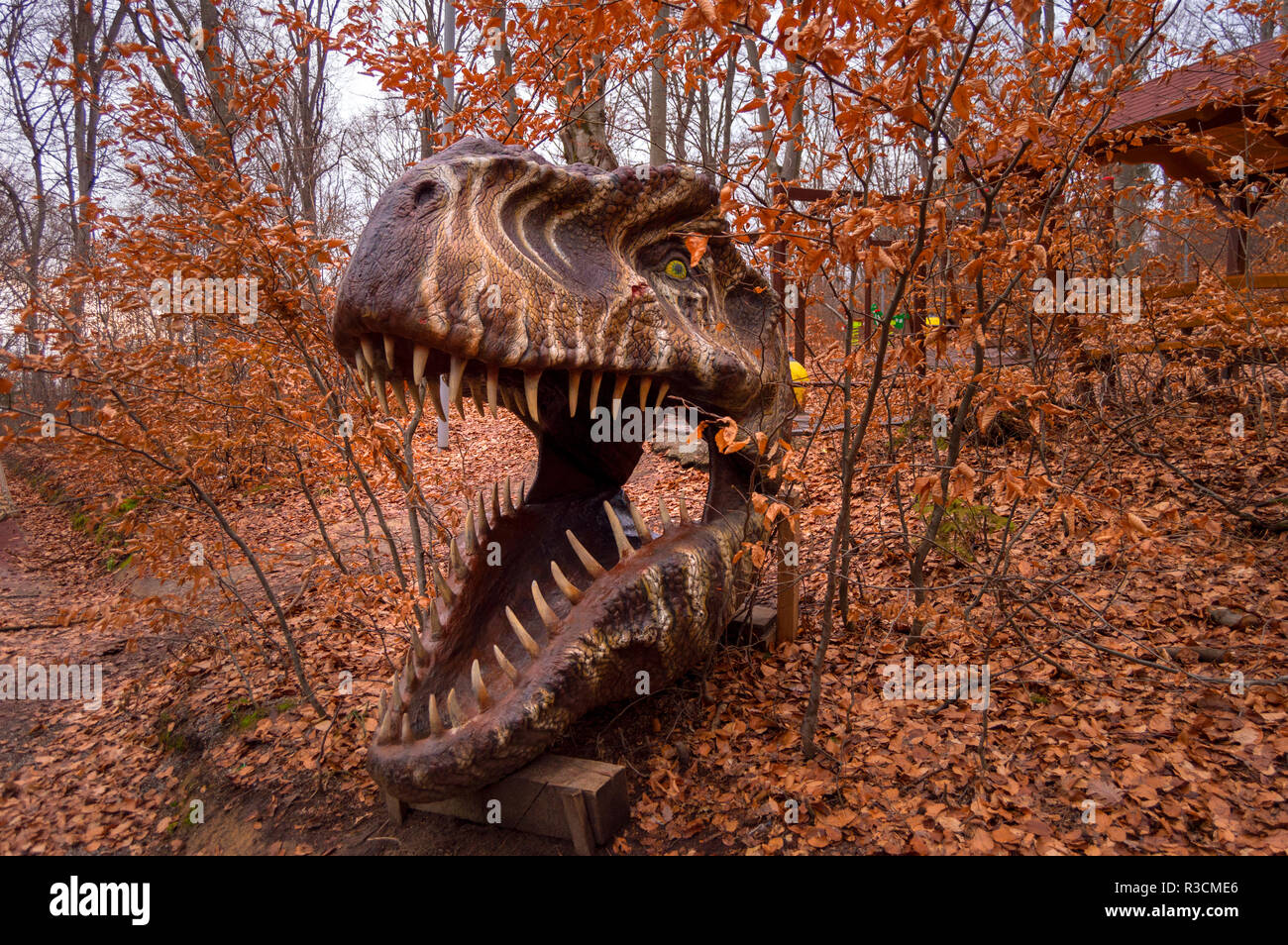Rasnov, Romania - December 4 2017: Huge T-Rex head at Dino Park Rasnov ...