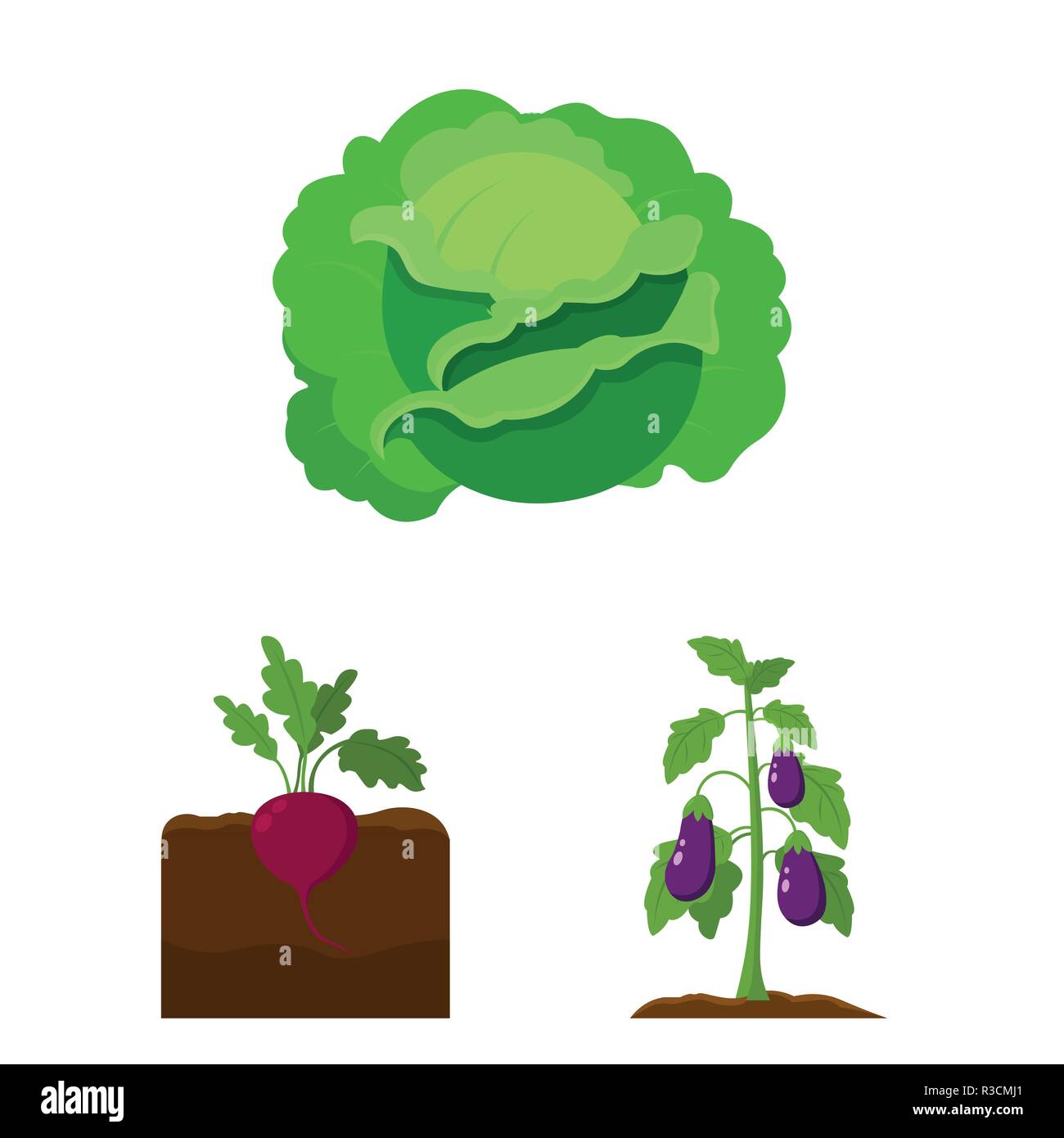 Plant, vegetable cartoon icons in set collection for design. Garden and ...