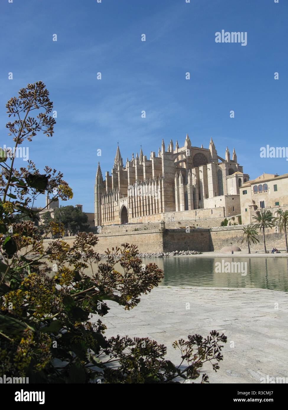 parc de la mar in palma de mallorca Stock Photo - Alamy