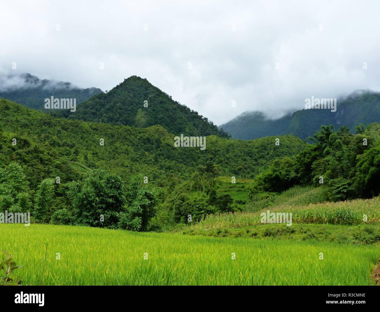China rural village farmer market hi-res stock photography and images ...