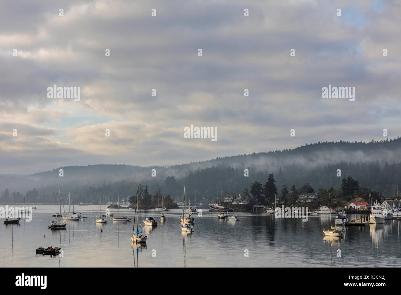 Ganges Harbor on Salt Spring Island in British Columbia, Canada Stock ...