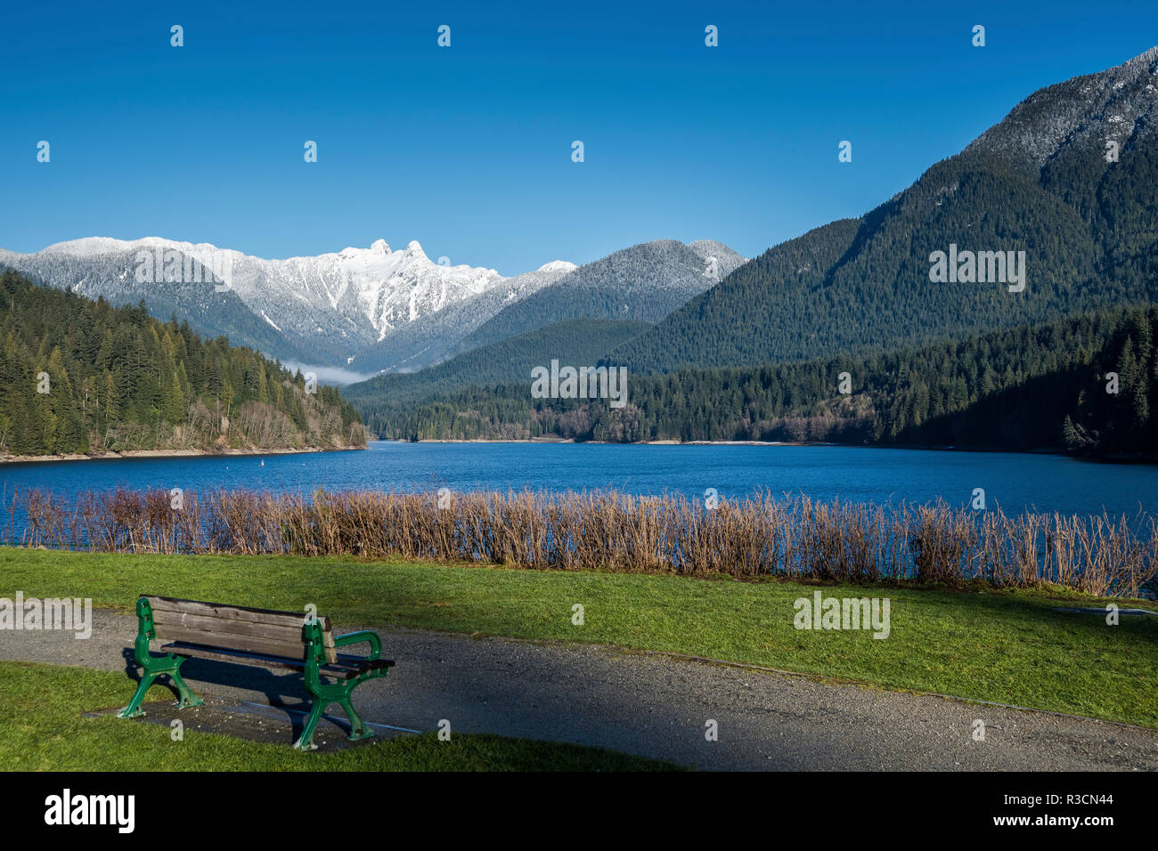 Snow capped mountains above lake and meadow with bench overlook Stock ...