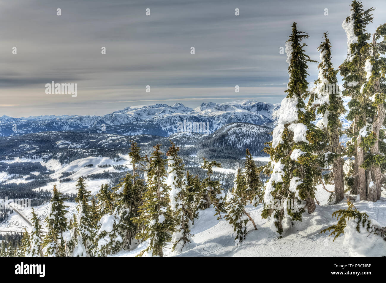 Mt. Washington Ski Resort bordering Strathcona Provincial Park (BC's ...
