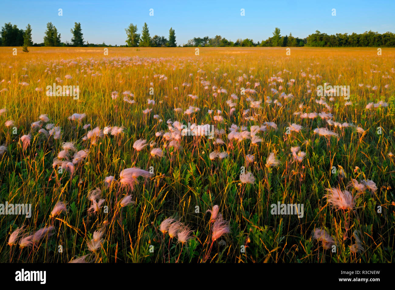 Manitoba landscape hi-res stock photography and images - Alamy