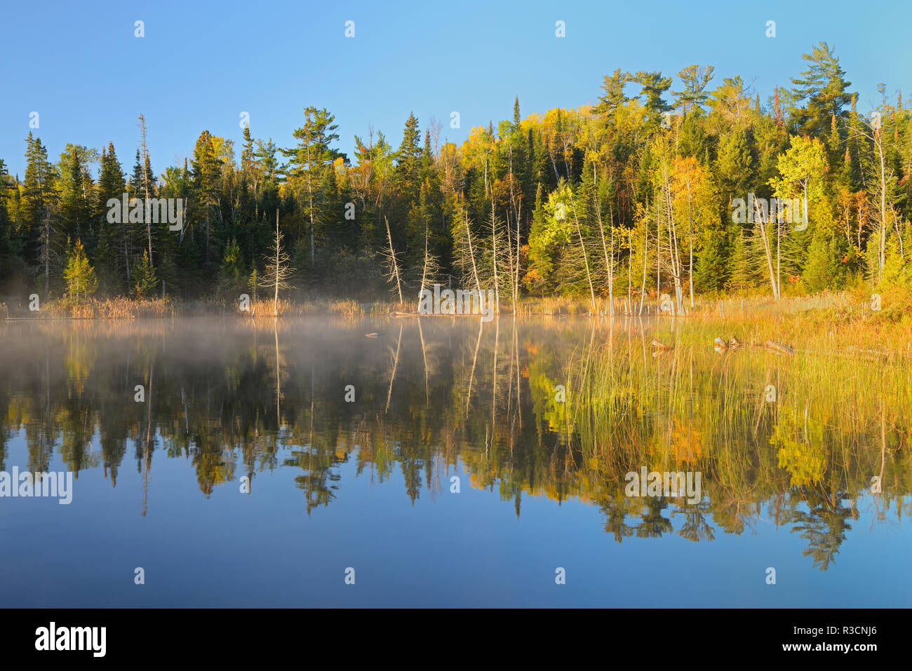 Canada, Manitoba, Whiteshell Provincial Park. Lyons Lake at sunrise ...