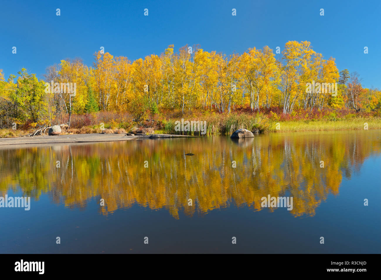 Canada, Manitoba, Whiteshell Provincial Park. Autumn foliage reflected ...