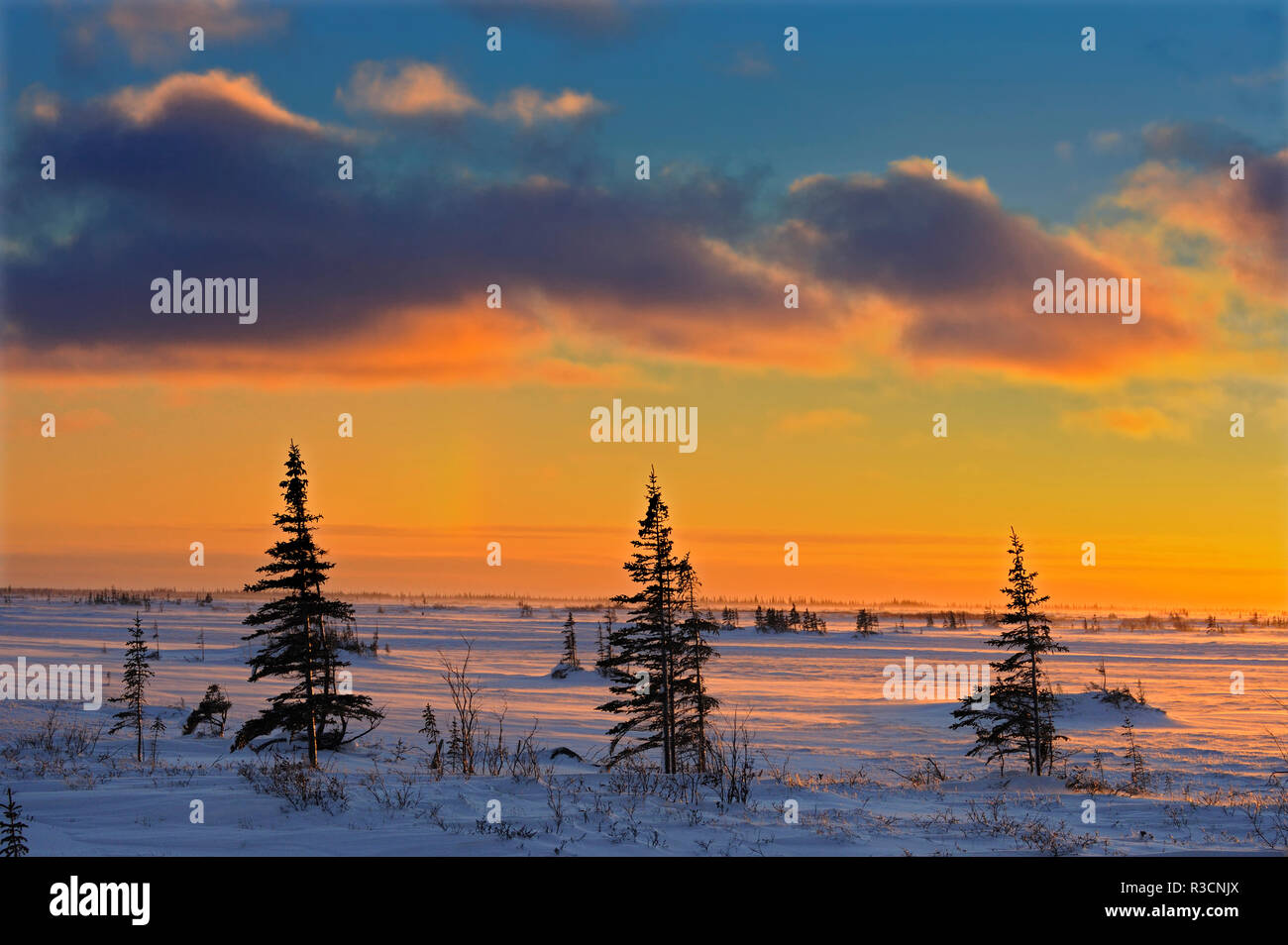 Canada, Manitoba, Churchill. Winter sunrise on Hudson Bay landscape ...