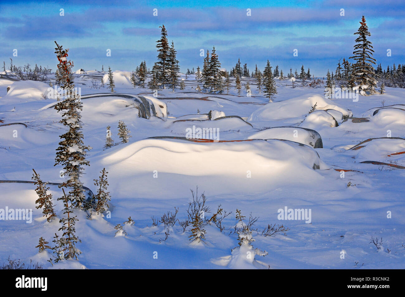 Canada, Manitoba, Churchill. Winter on Hudson Bay landscape Stock Photo ...