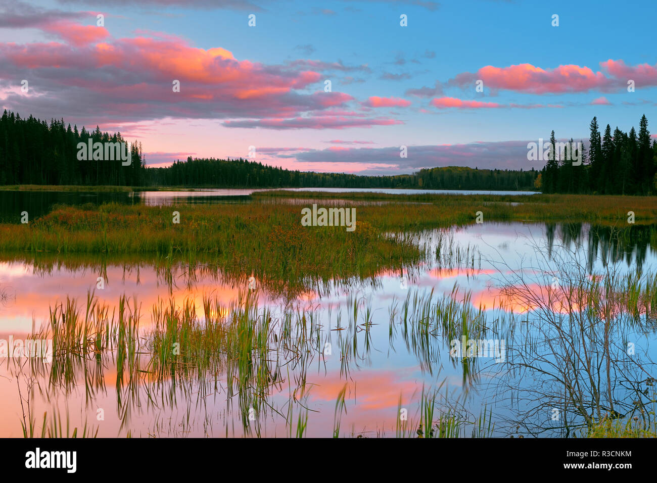 Canada manitoba duck mountain hi-res stock photography and images - Alamy