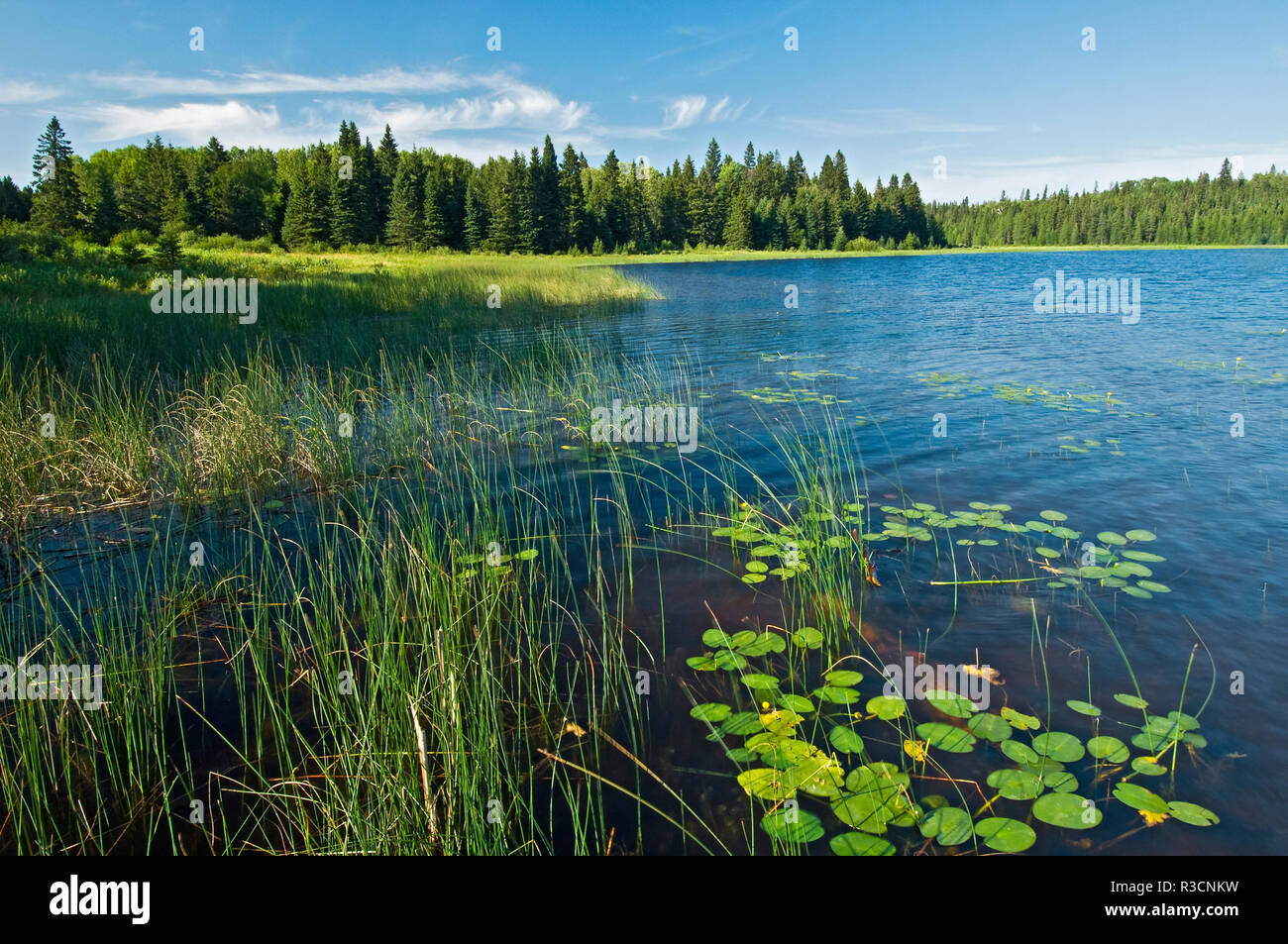 Whiteshell provincial park hi-res stock photography and images - Alamy