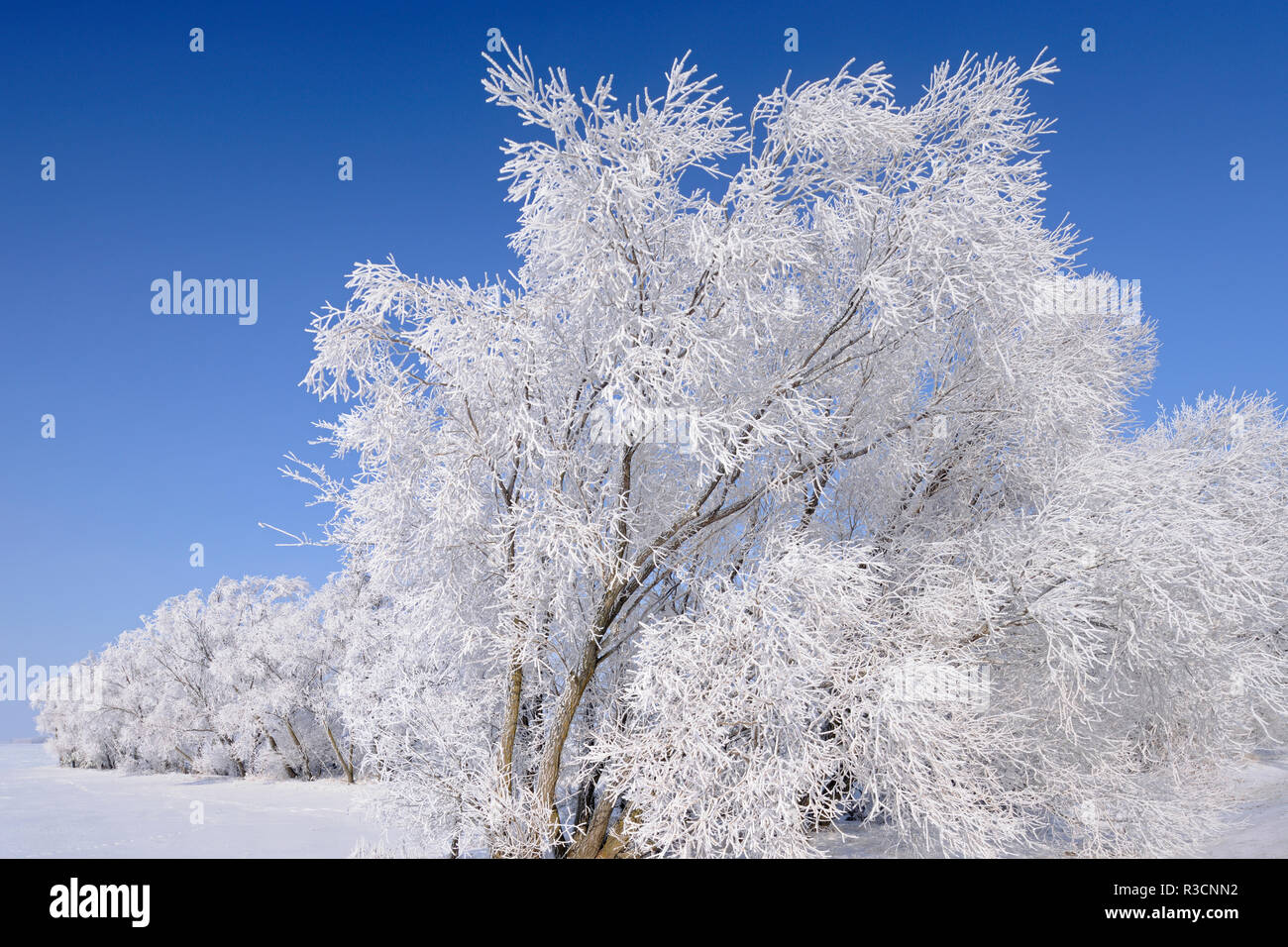 Oakbank manitoba hi-res stock photography and images - Alamy