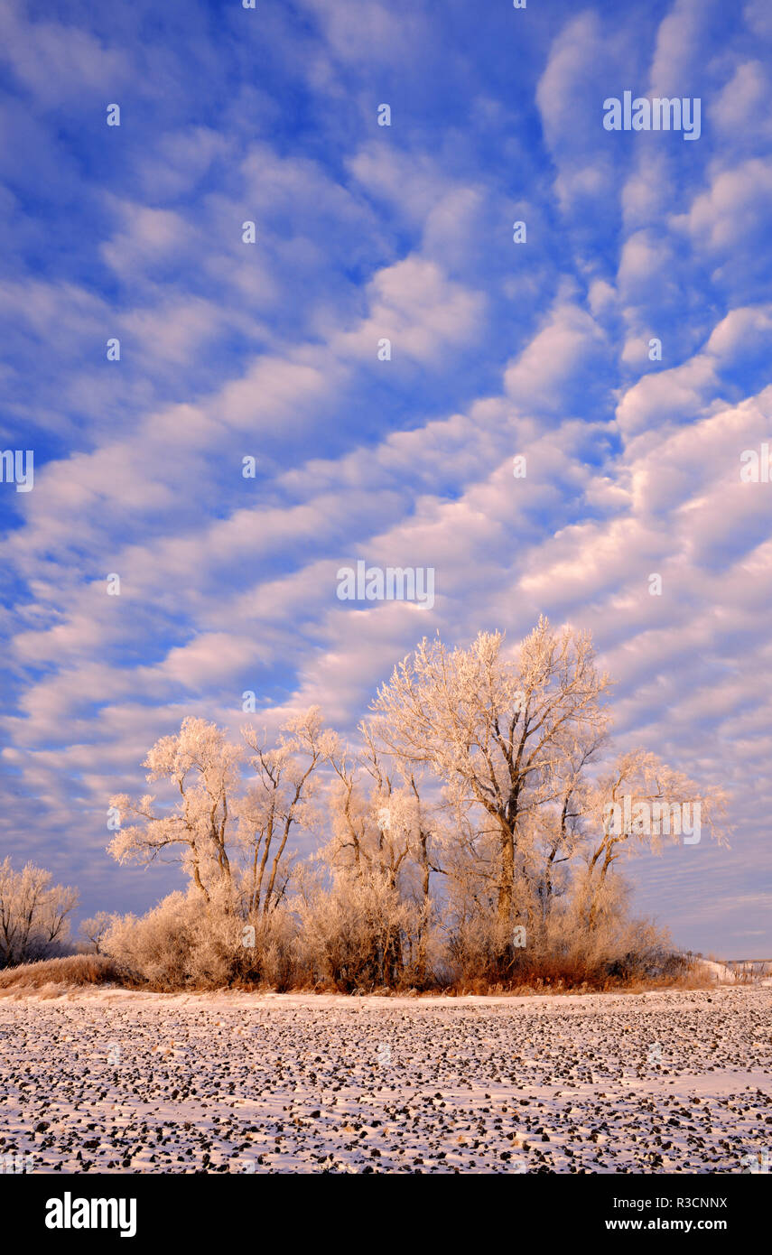 Starbuck manitoba hi-res stock photography and images - Alamy