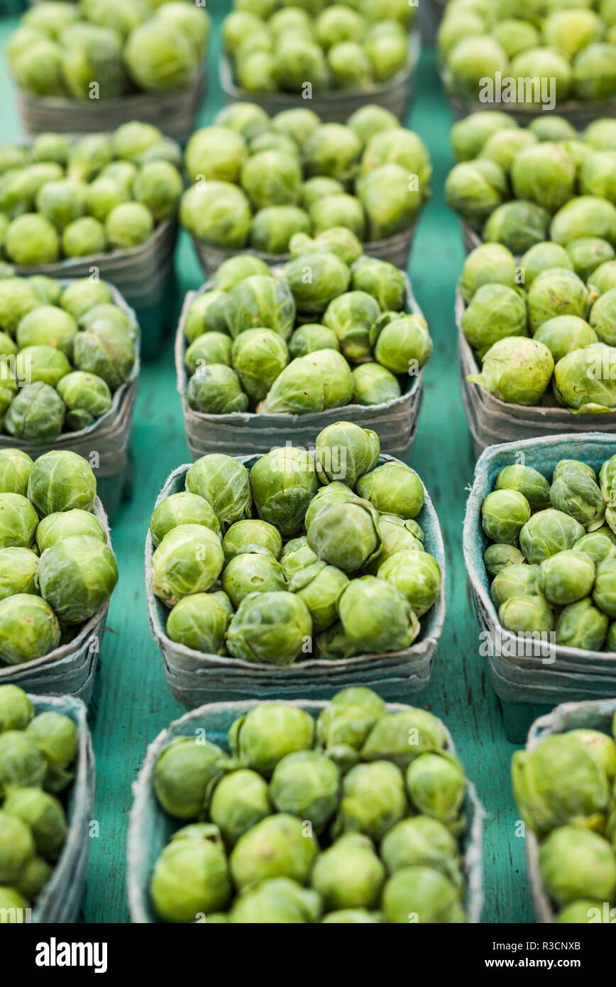 Brussels ontario hi-res stock photography and images - Alamy