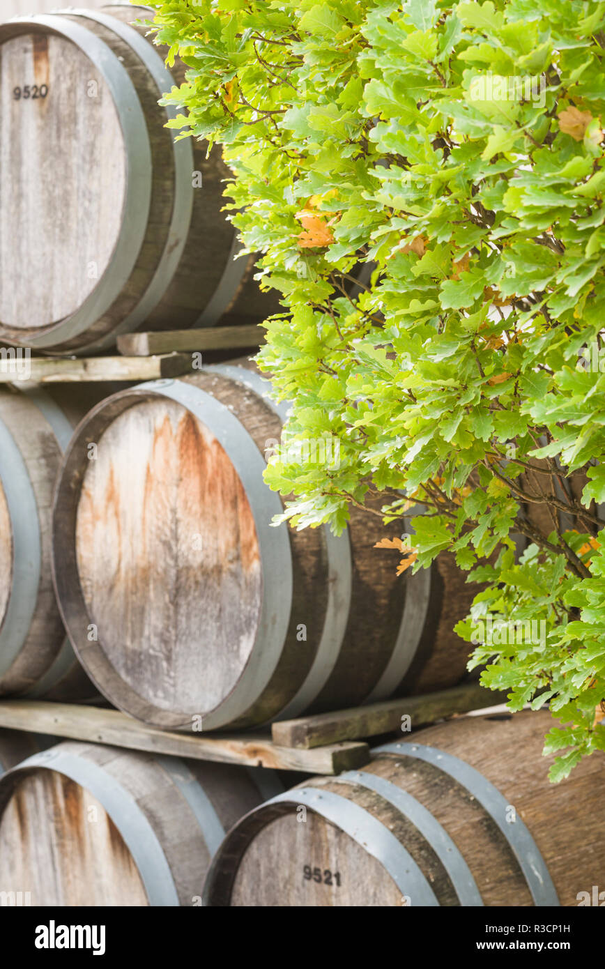 Canada, Ontario, Niagara on the Lake, winery oak casks Stock Photo - Alamy