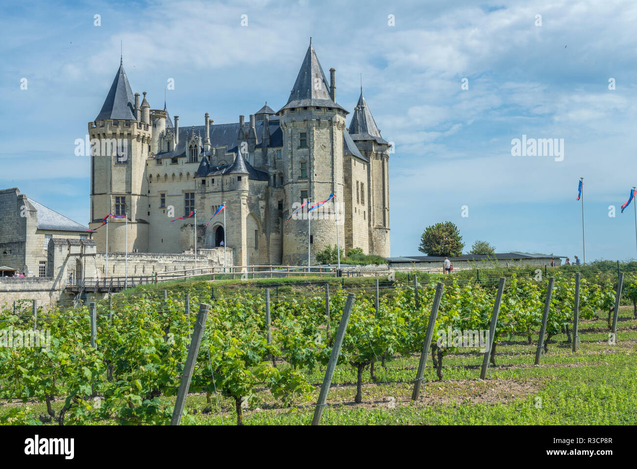 Chateau de Saumur, Saumur, Loire Valley, France Stock Photo - Alamy