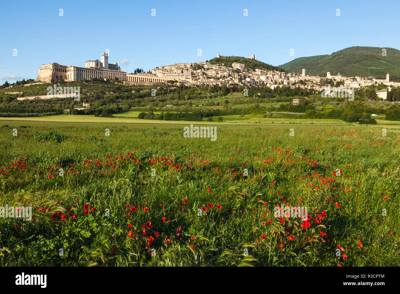 Prominent hill hi-res stock photography and images - Alamy