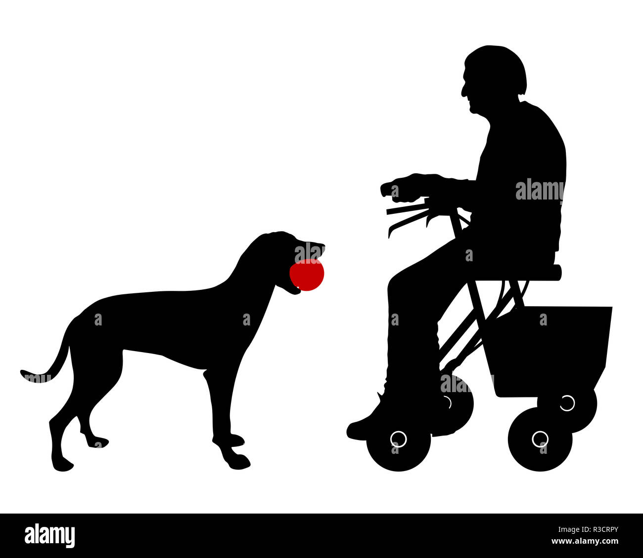 Senior citizen dog Cut Out Stock Images & Pictures - Alamy