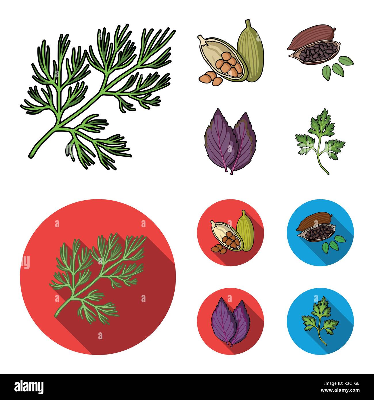Dill, cocoa beans, basil.Herbs and spices set collection icons in ...
