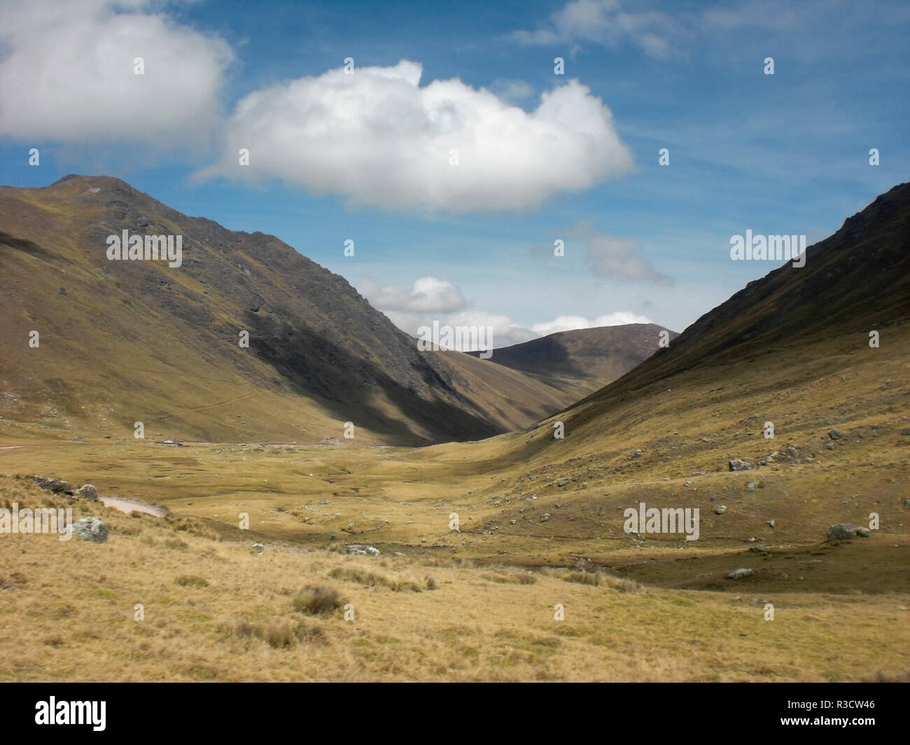 Lake junin peru hi-res stock photography and images - Alamy