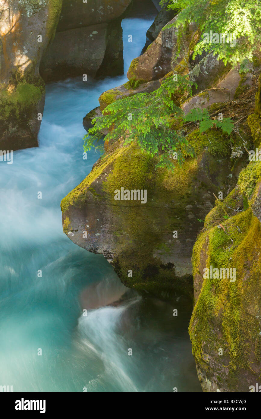 Avalanche gallery hi-res stock photography and images - Alamy