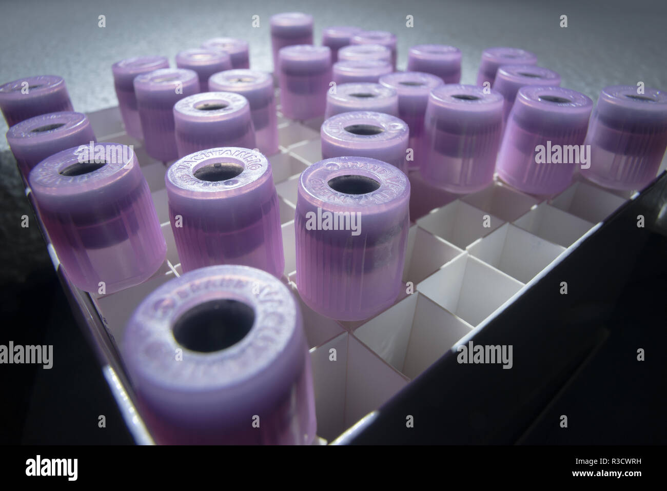 Rows of specimen bottles hi-res stock photography and images - Alamy