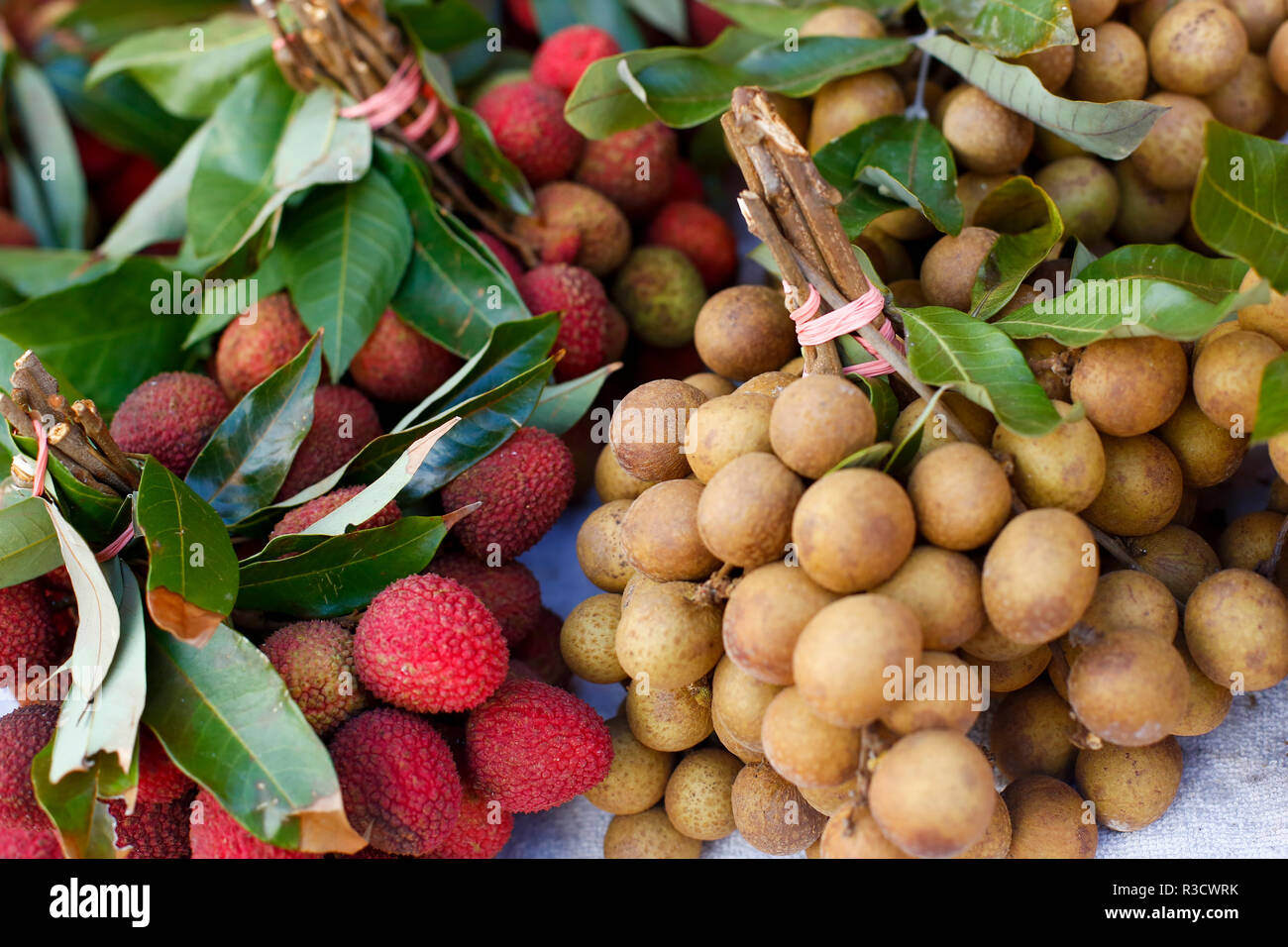 Flushing, Queens, NY. Chinatown, Exotic fruits Stock Photo - Alamy