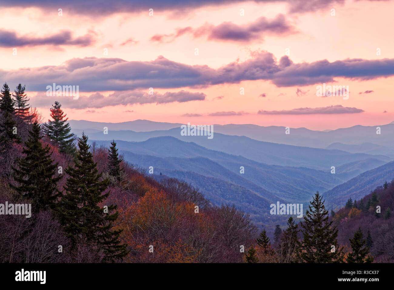 Smoky Mountains Spring Sunrise Great Smoky Mountains Spring 2024 With