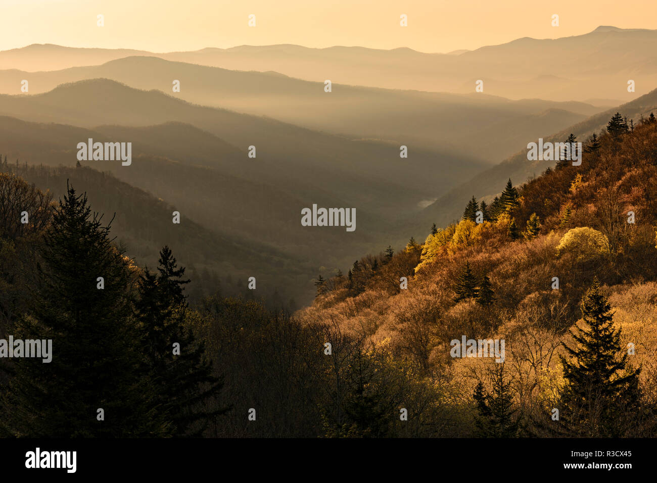 Spring sunrise from Oconaluftee Valley Overlook, U.S. Hwy. 441 or ...