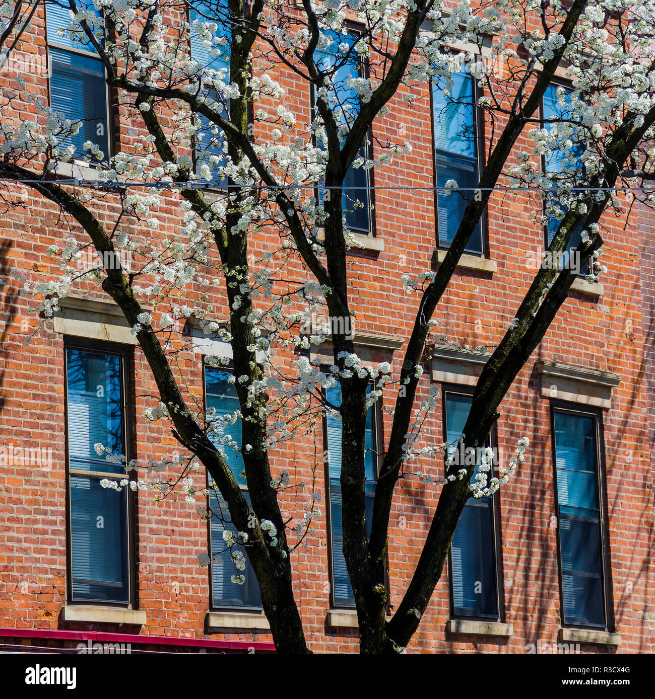 Findlay Market, Cincinnati, Ohio, USA Stock Photo - Alamy