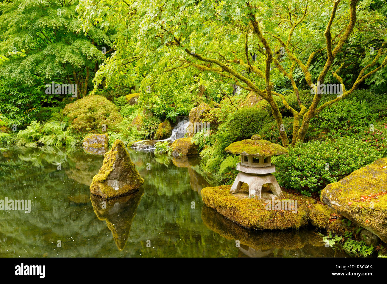 The Portland Japanese Garden, Washington Park in the west hills of ...
