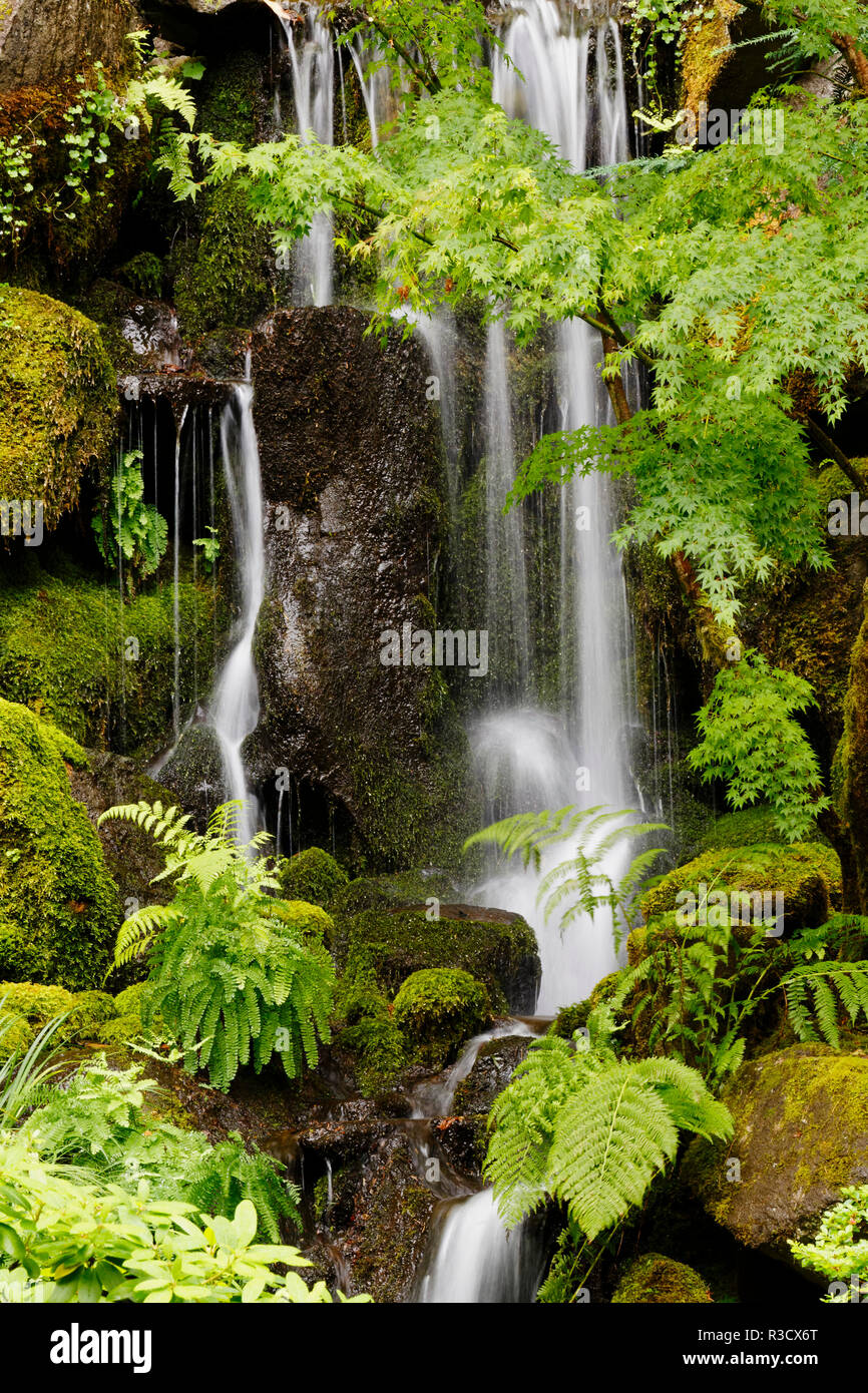 Portland japanese garden waterfall hi-res stock photography and images ...