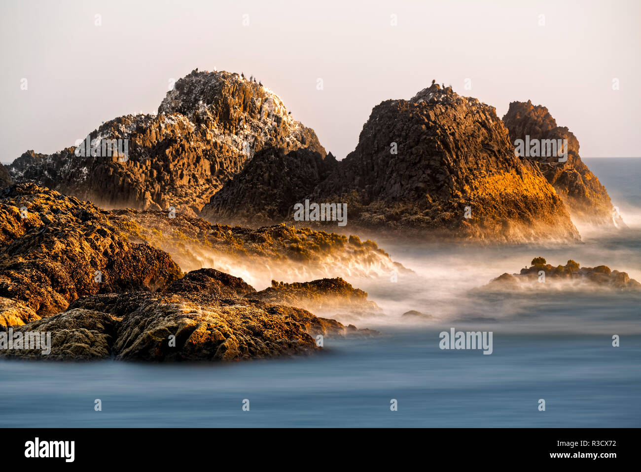 Seal rock state park hi-res stock photography and images - Alamy