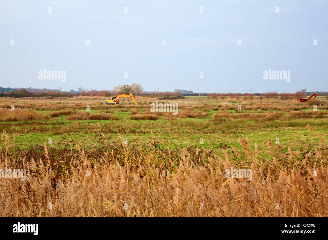 A JCB digger maintaining drainage ditches on low-lying grazing marsh on ...