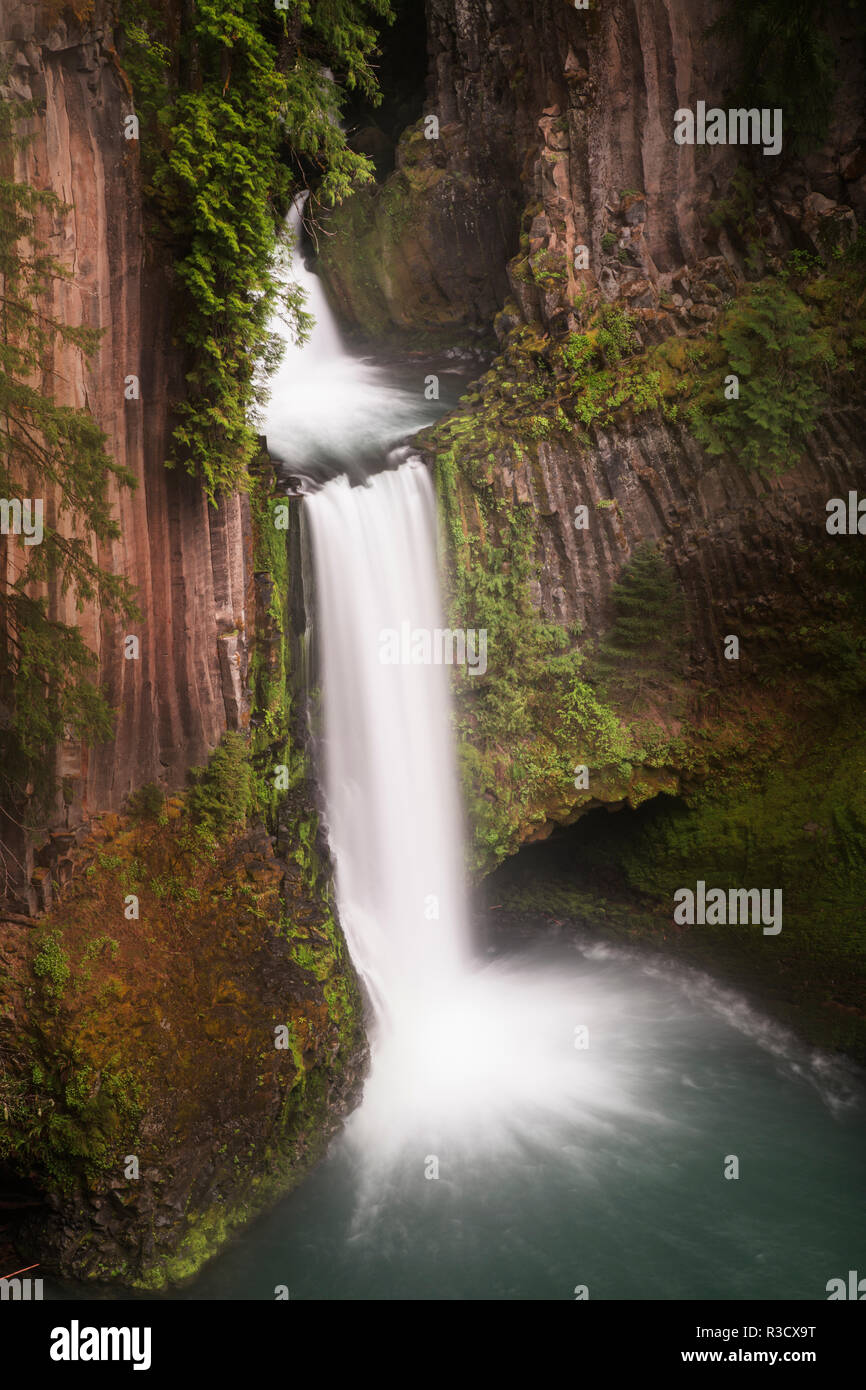 USA, Oregon, Umpqua National Forest. Basalt columns and Toketee Falls ...