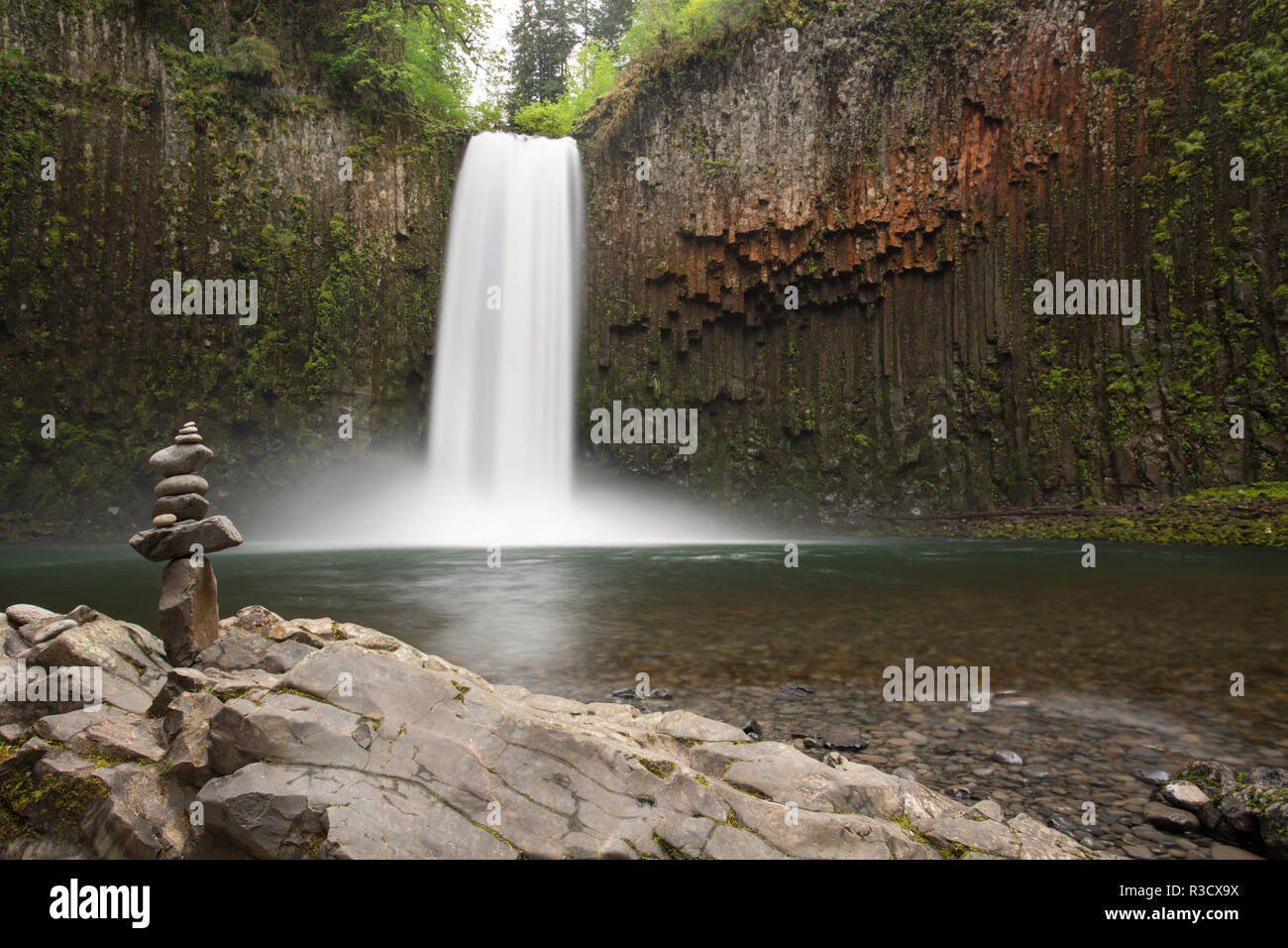 USA, Oregon, Abiqua Falls. Waterfall over cliff of columnar basalt and ...