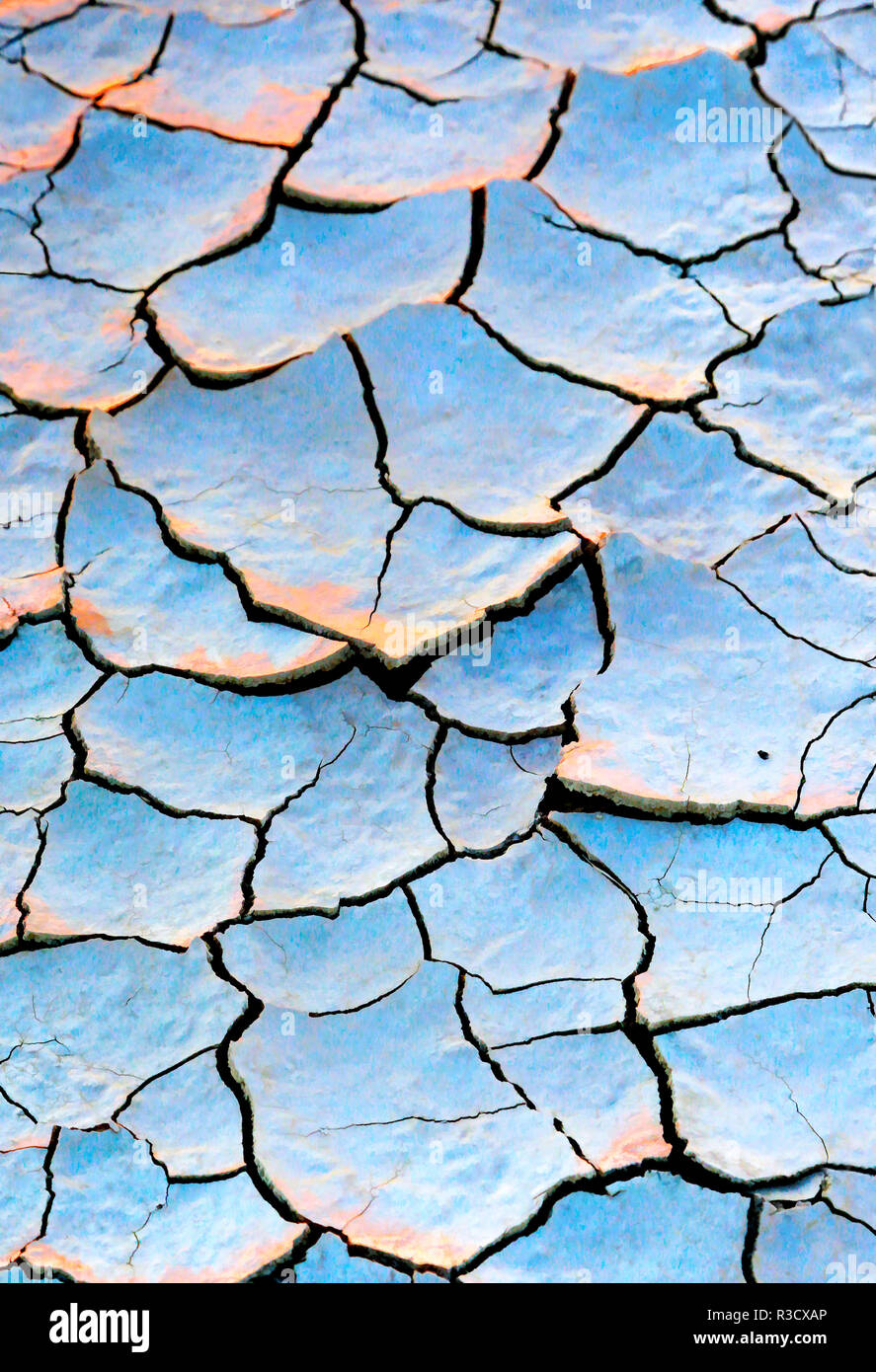USA, Oregon, Alvord Desert. Crackled salt mineral playa on dry lake bed ...