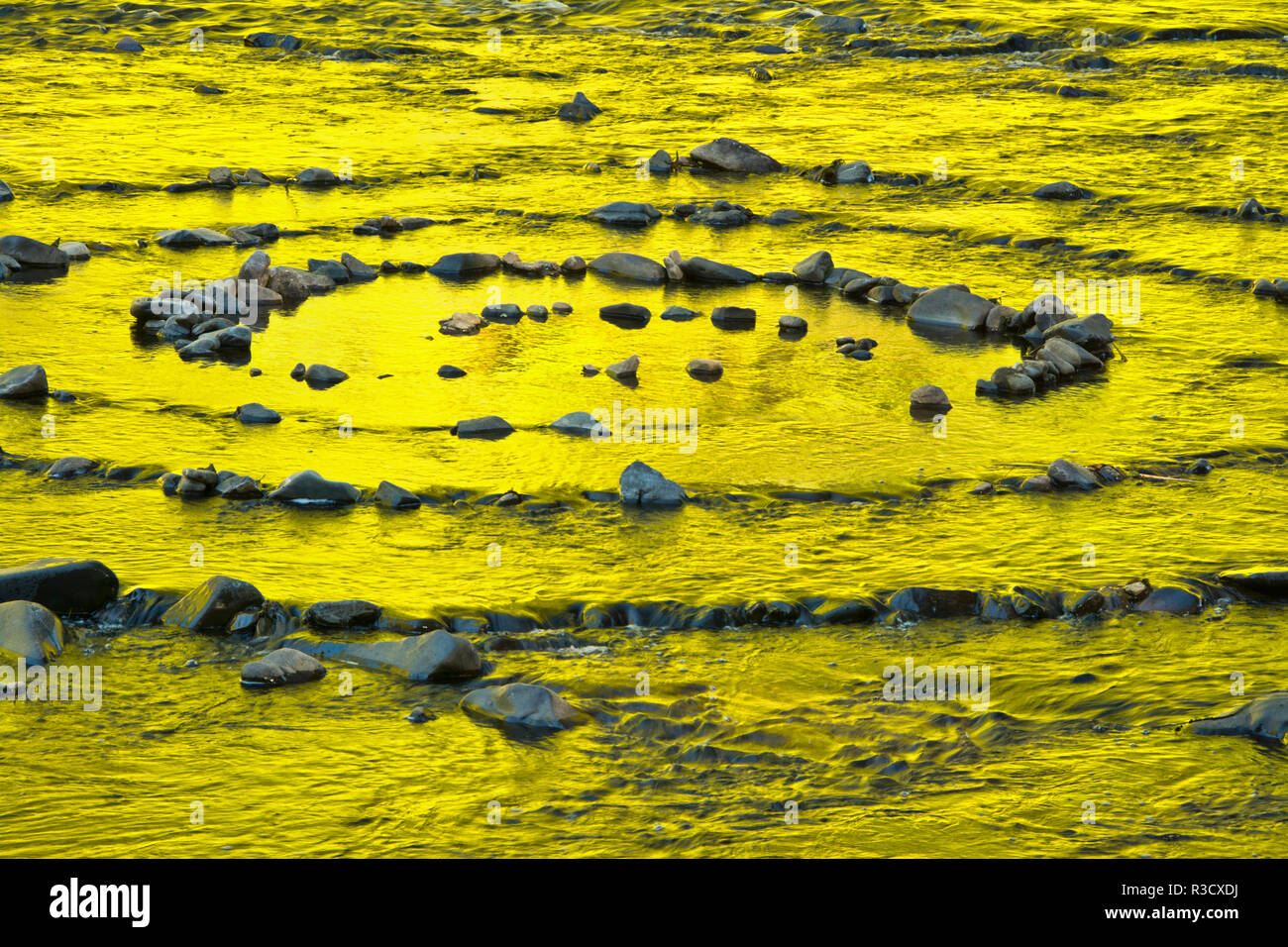 Nehalem River, Tillamook State Forest, Elsie, Oregon, USA Stock Photo ...
