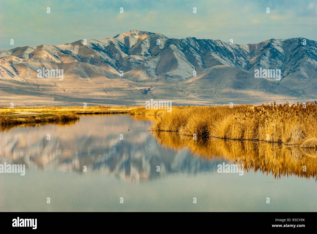 Reflection on Bear River National Wildlife Refuge, Utah Stock Photo - Alamy
