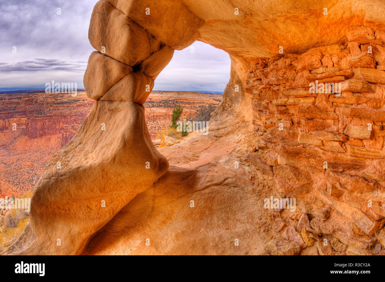 Anasazi granaries on Aztec Butte, Island in the Sky, Canyonlands ...