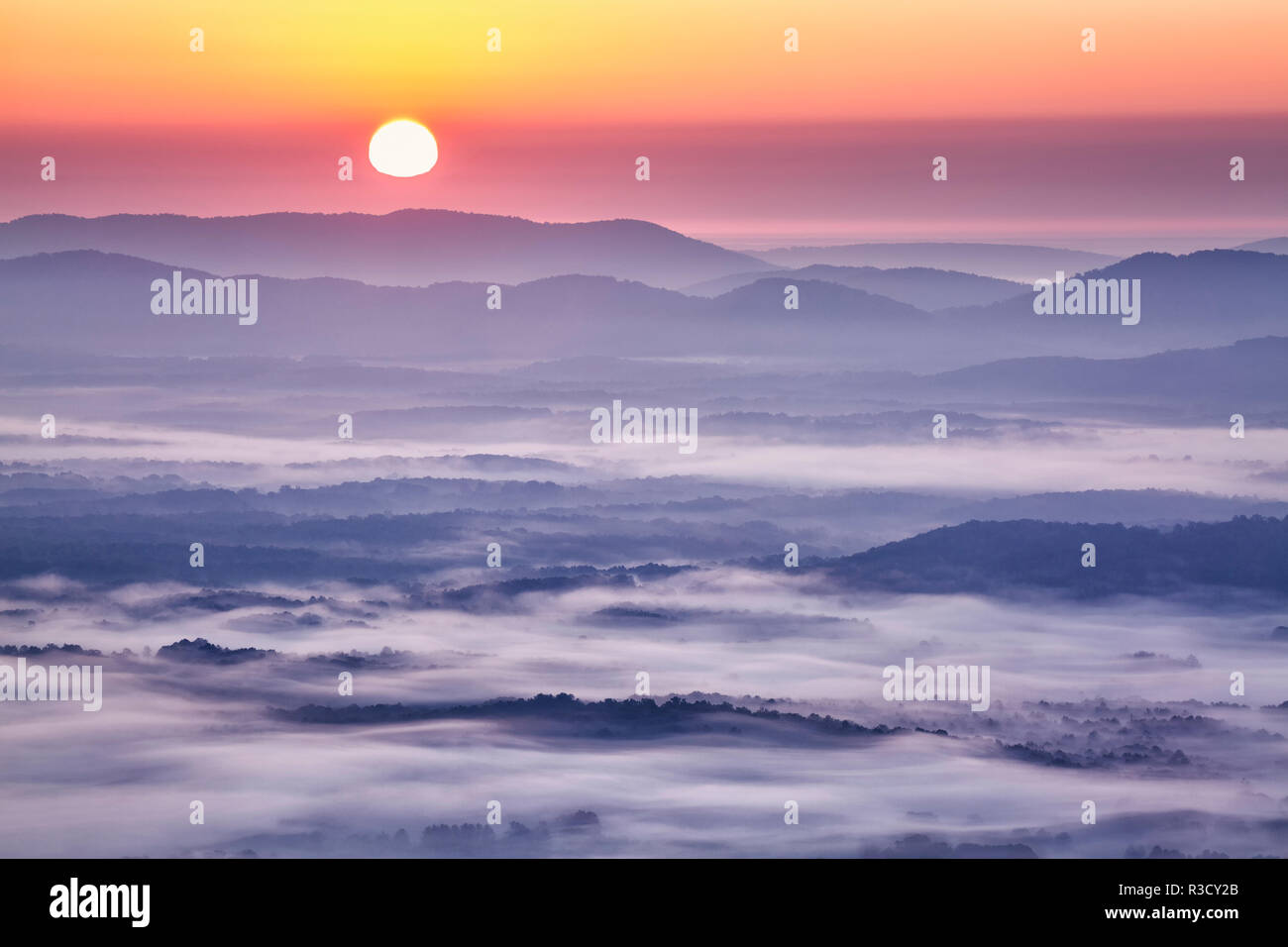 Virginia collins hi-res stock photography and images - Alamy