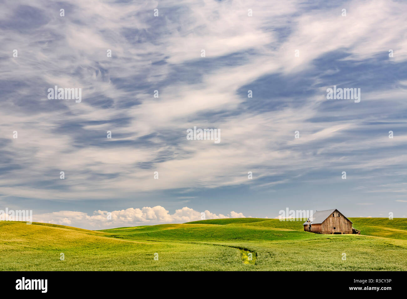 Barn in expansive wheat field, Palouse farming region of Eastern ...
