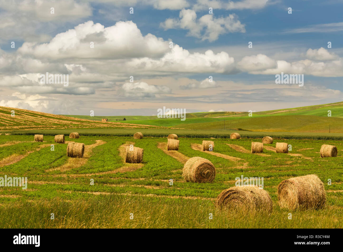 Hay bales and clouds, Palouse region of Eastern Washington State Stock ...