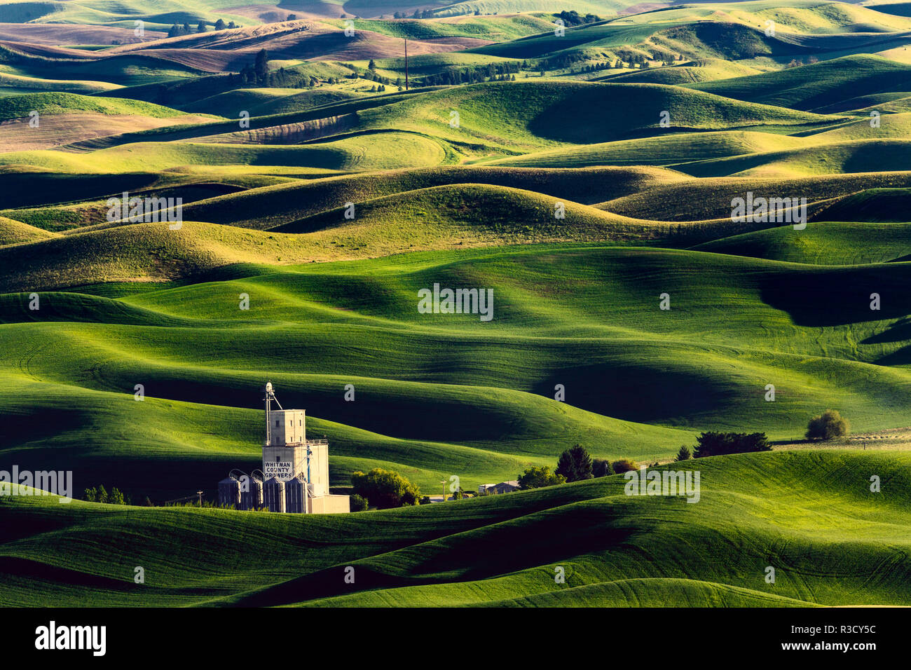 Grain silo and rolling wheat fields viewed from Steptoe Butte, Palouse ...