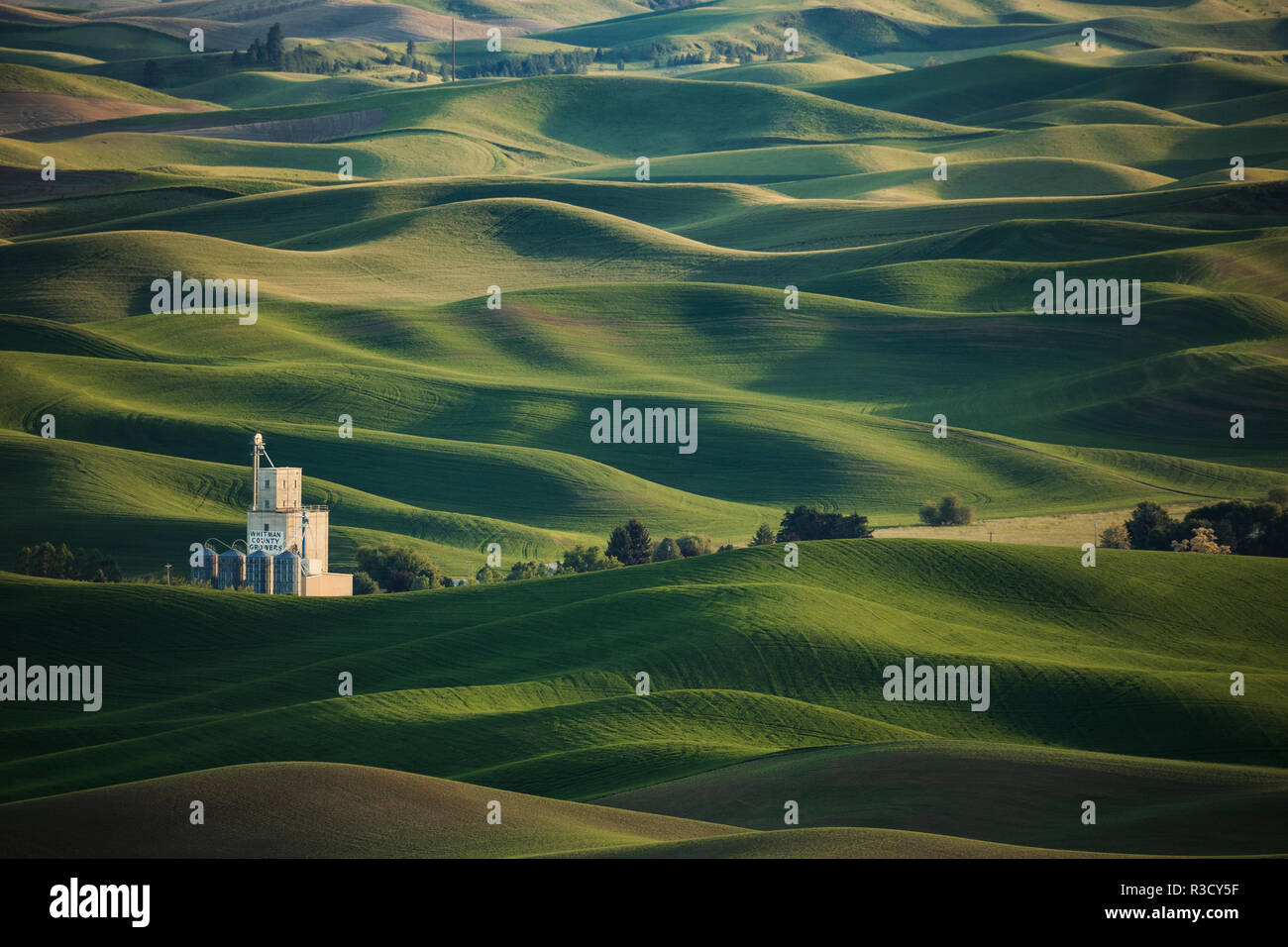 Views palouse from steptoe butte hi-res stock photography and images ...