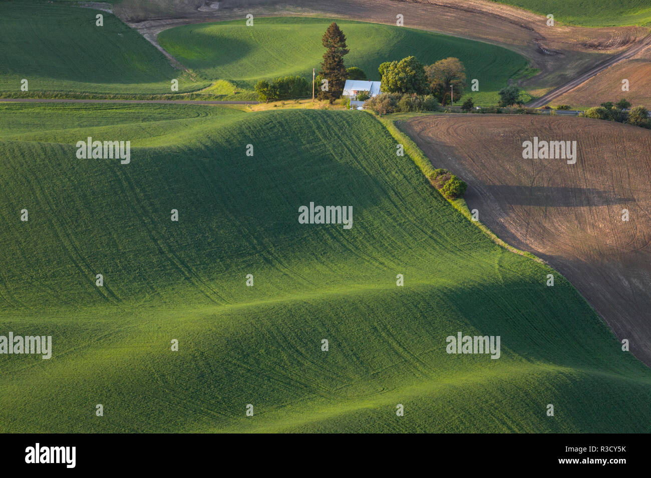 Steptoe butte wa hi-res stock photography and images - Alamy