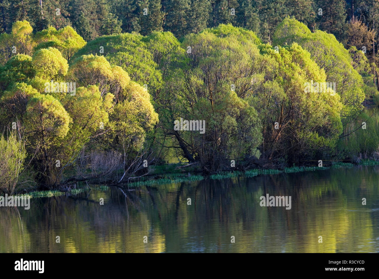 Spokane river hi-res stock photography and images - Alamy