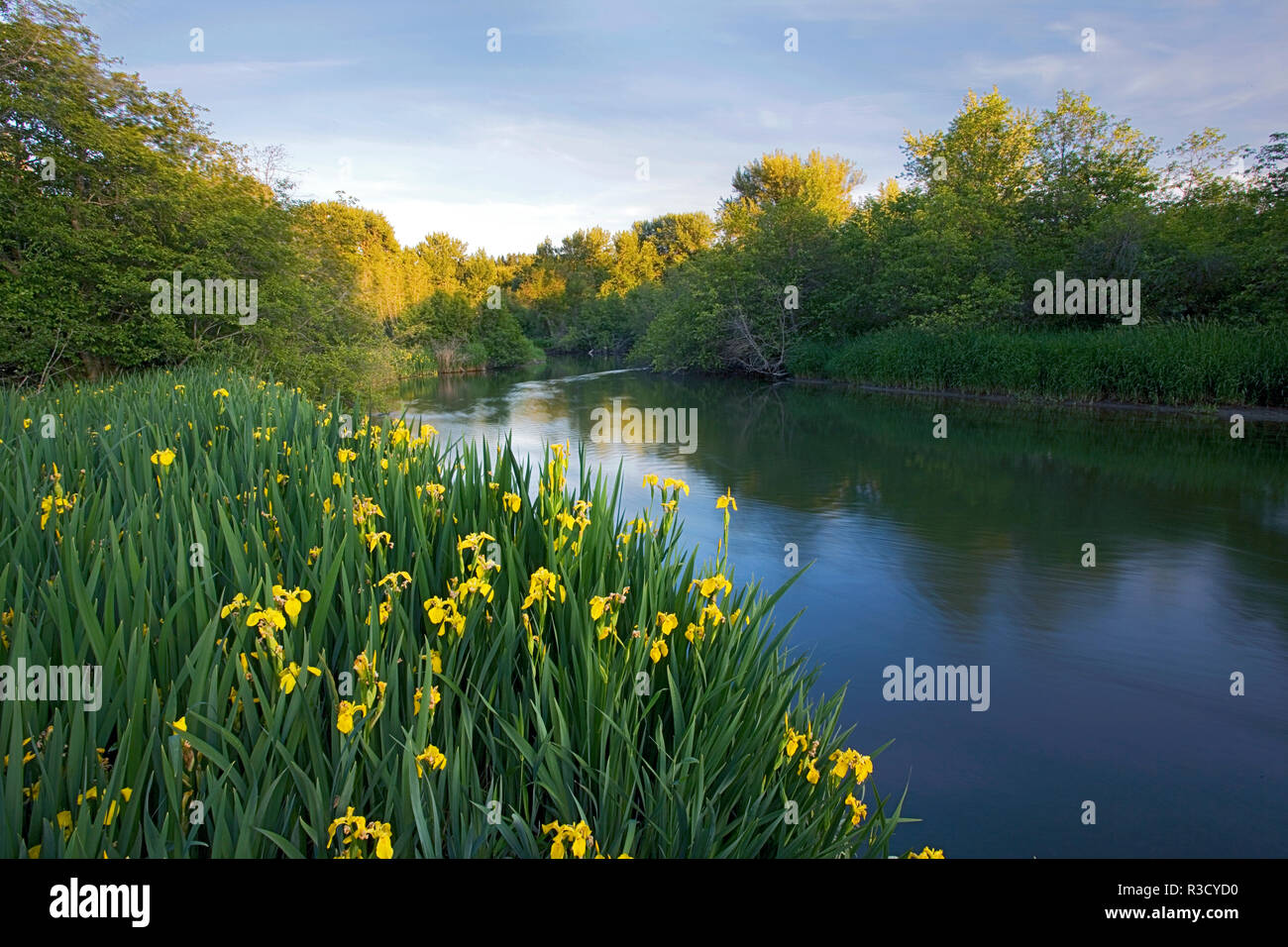 Riverside state park spokane hi-res stock photography and images - Alamy