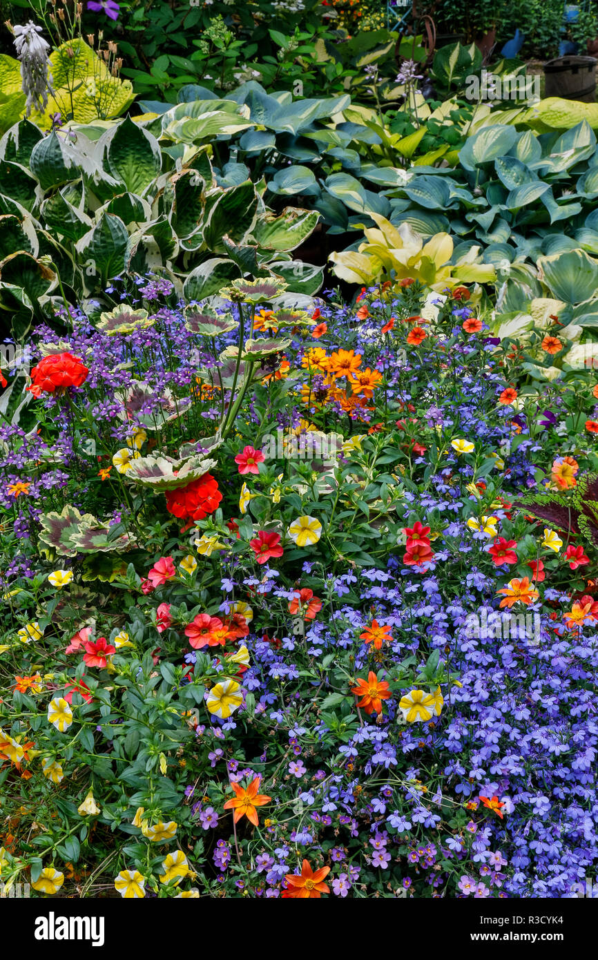 Summer bright colors hi-res stock photography and images - Alamy