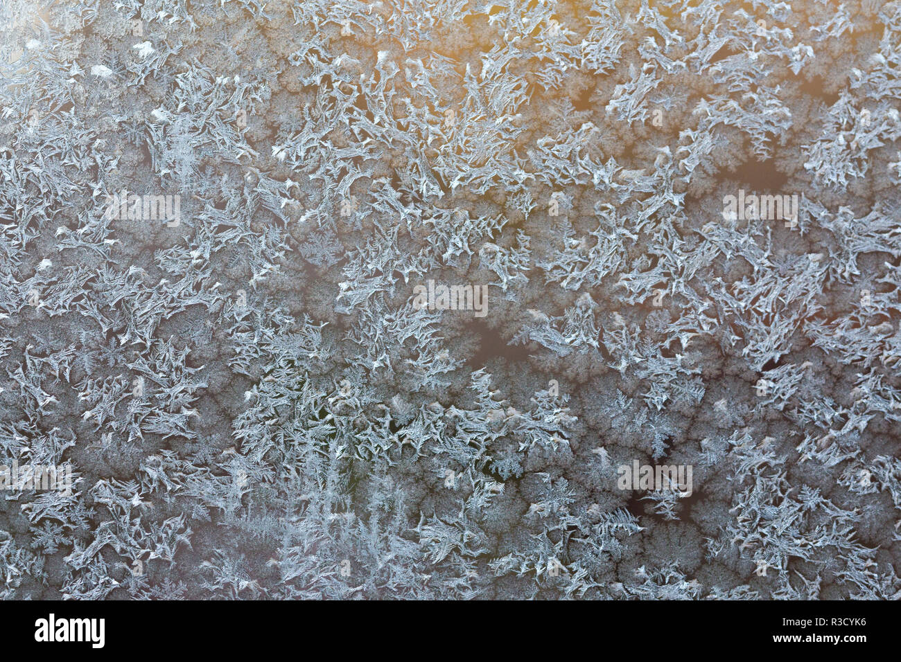 Ice design frozen on car window Stock Photo - Alamy