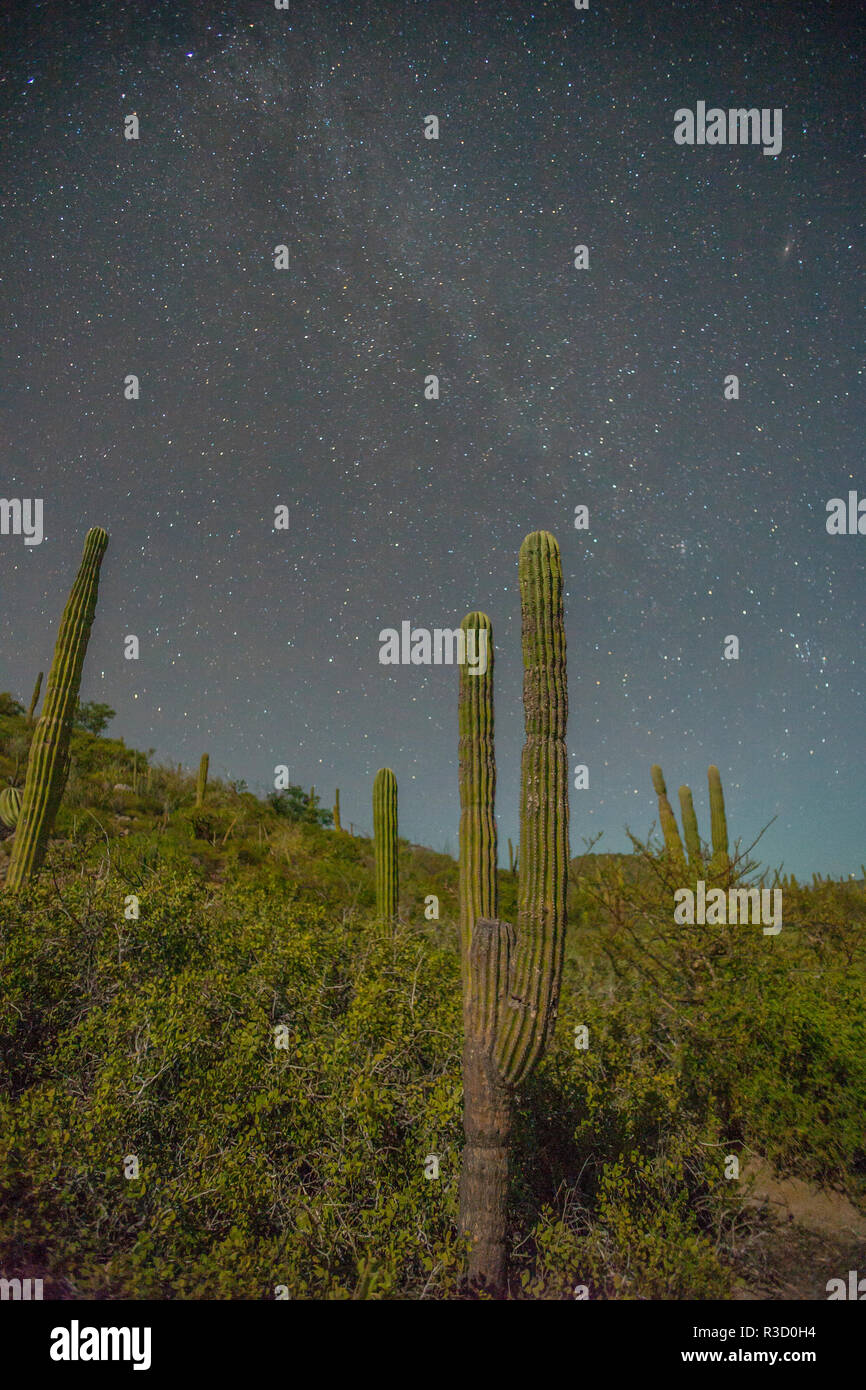 Isla miguel hi-res stock photography and images - Alamy